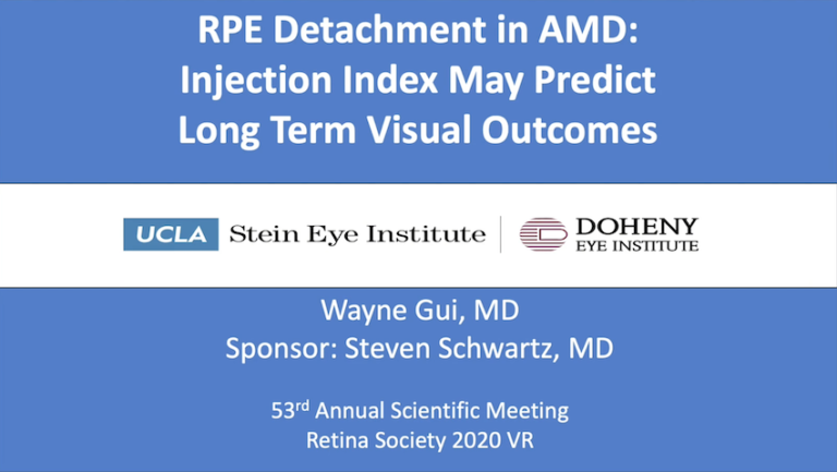 RPE Detachment in AMD: Injection Index May Predict Long Term Visual ...
